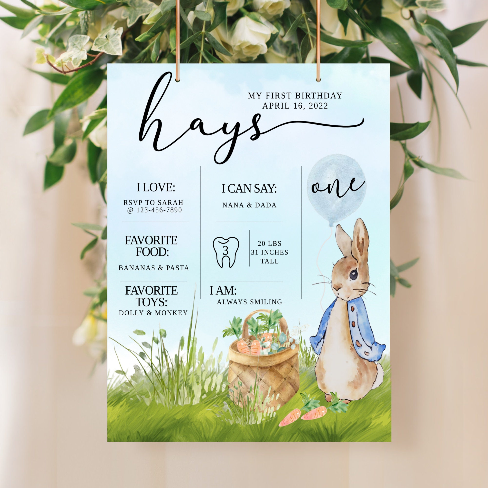 Editable Milestone Chart Peter Rabbit Bunny Milestone - Etsy Australia