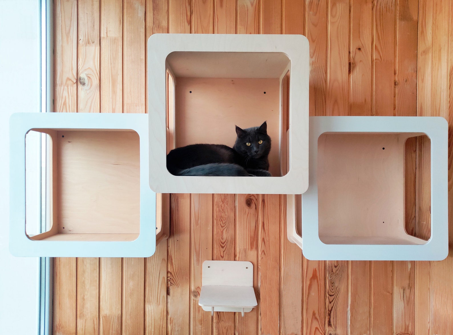 Cat Wall Shelves Modern Cat Wall Furniture Cat Wall Shelf - Etsy