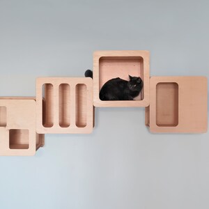 Floating Cat Shelf Cat Wall Furniture Cat Shelves Modern - Etsy