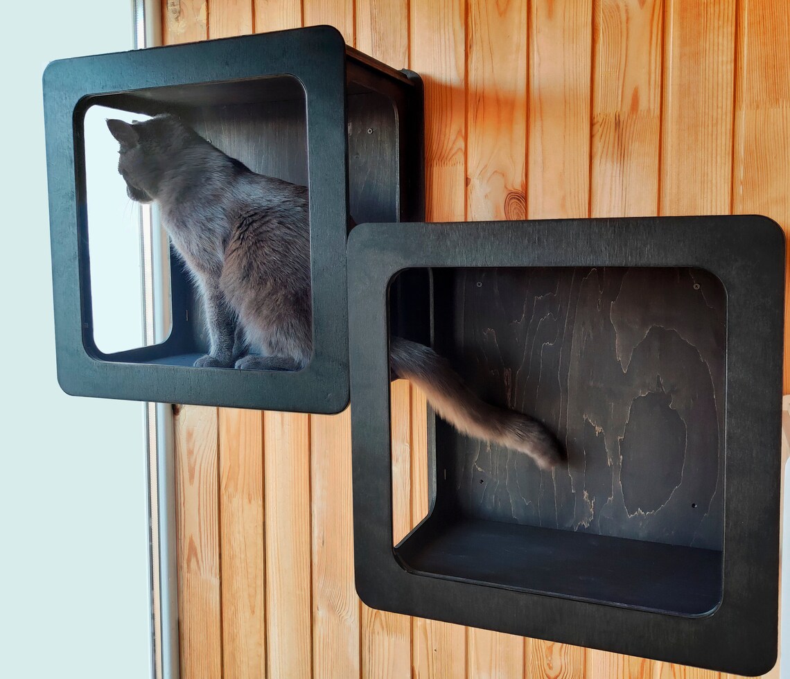 Modern Wall Mounted Cat Shelves Cat Furniture Wall Cat House - Etsy