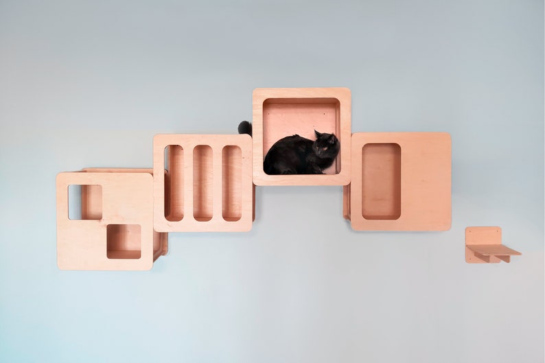 Wall Mounted Cat Shelves Cat Climbing Modern Wall Indoor Cat - Etsy