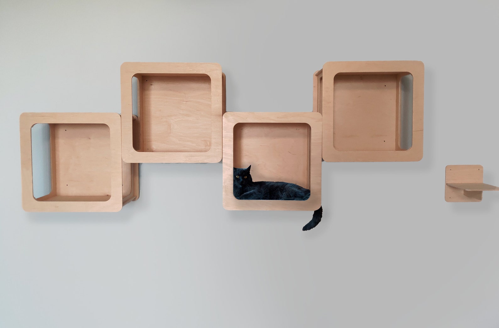 Floating Cat Shelves Modern Cat Furniture Cat Wall Shelf - Etsy