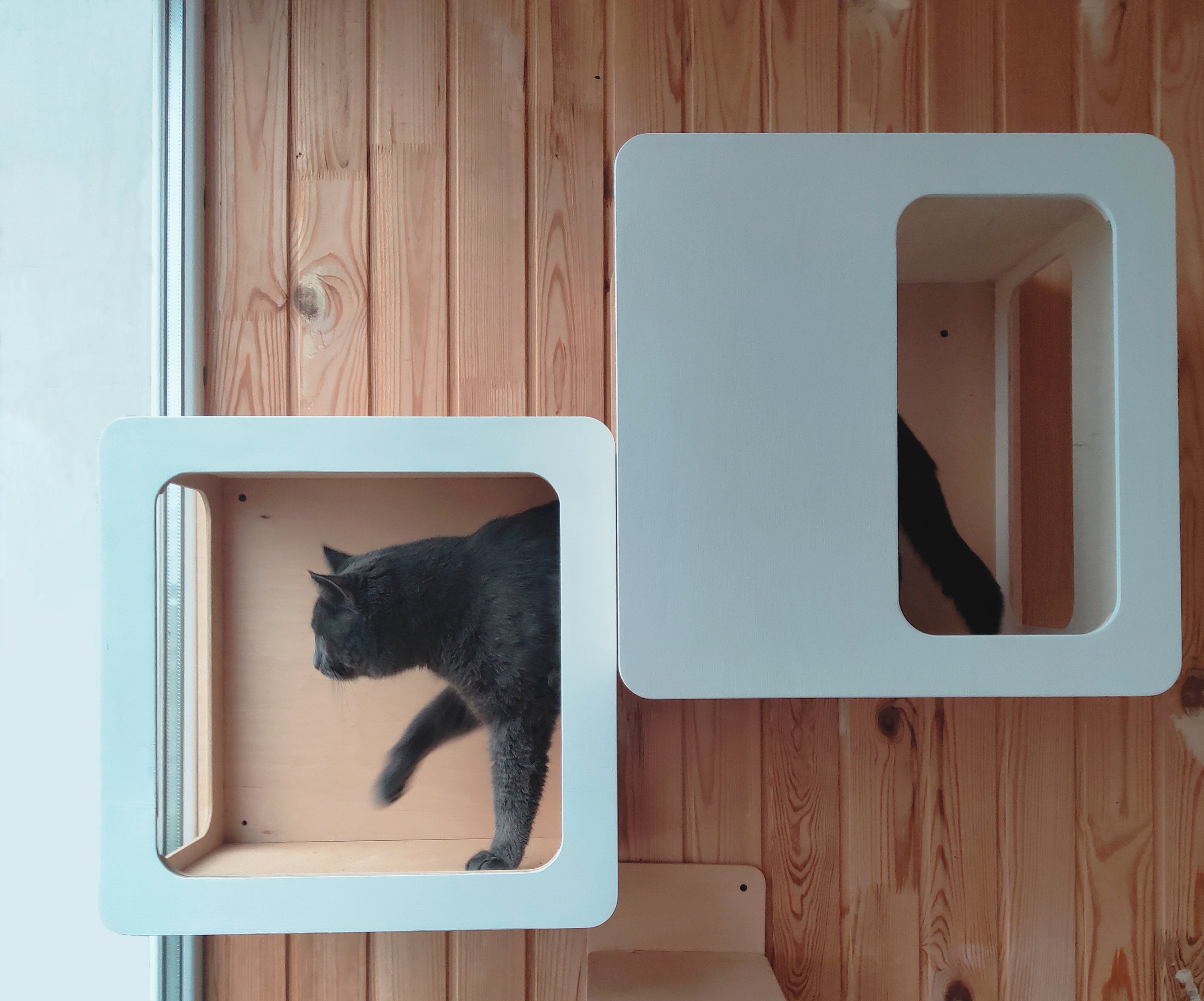 Floating Cat Bed, Wall Mounted Cat Shelves, Cat Climbing System, Cat ...