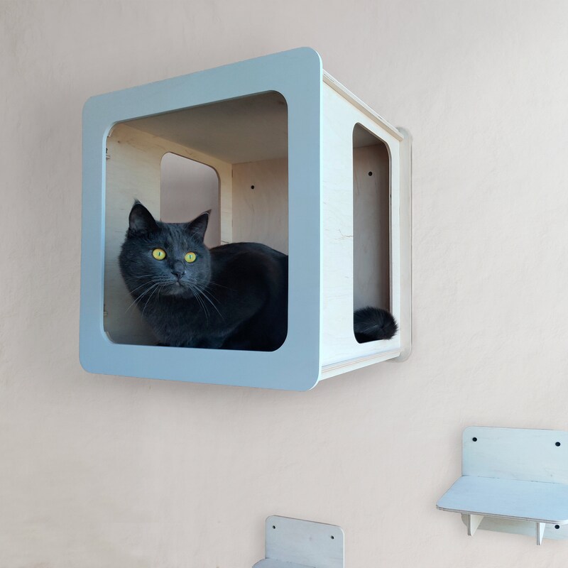 Cat Wall Bed - Etsy
