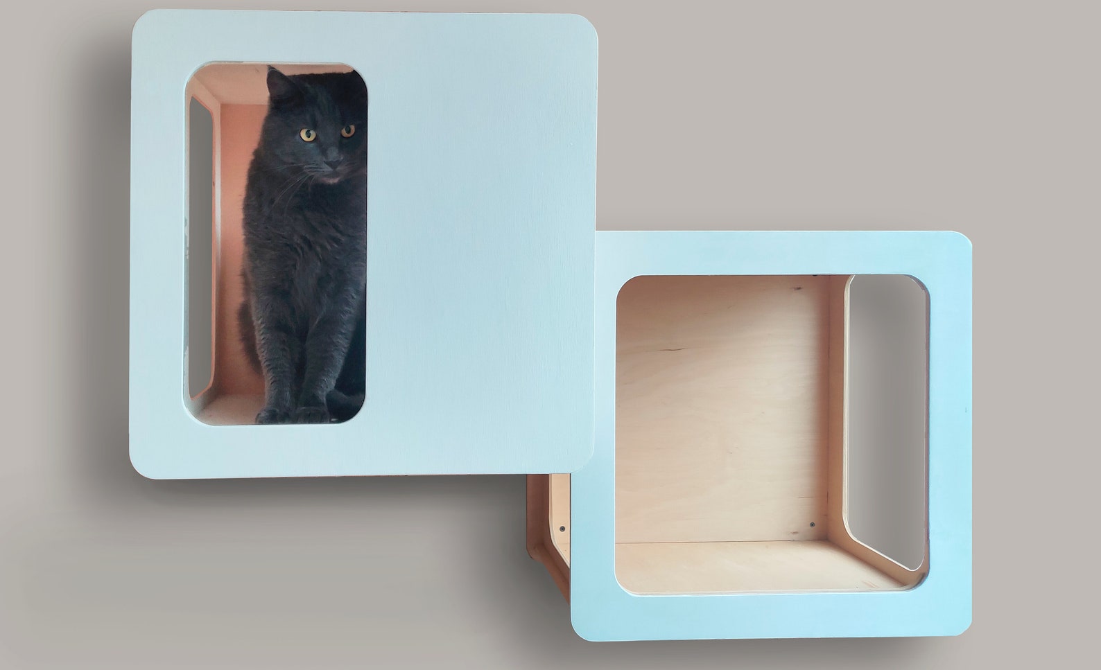 Floating Cat Bed Wall Mounted Cat Shelves Cat Climbing - Etsy