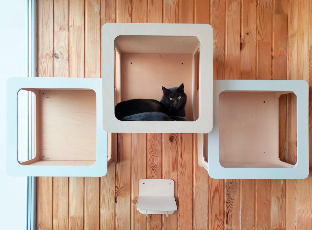 Wall Mounted Cat Shelf Bed, Cat Shelves, Modern Cat Bed, Cat Wall ...