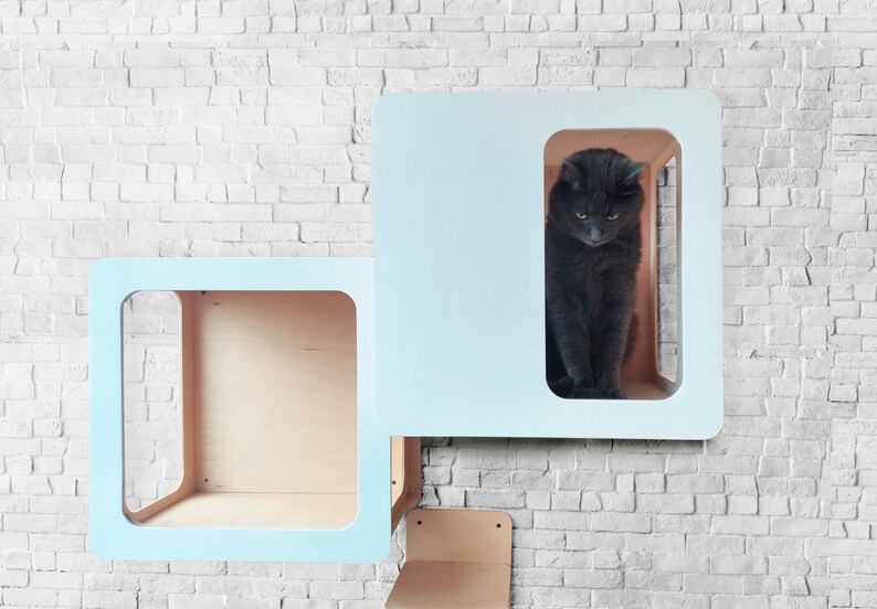 Floating Cat Shelves Modern Cat Furniture Cat Wall Shelf - Etsy