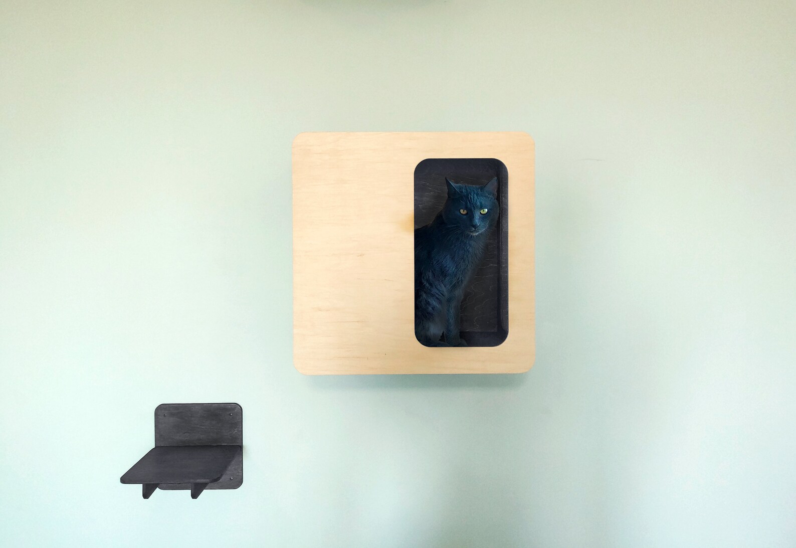 Modern Wall Mounted Cat Shelves Cat Furniture Wall Cat House - Etsy