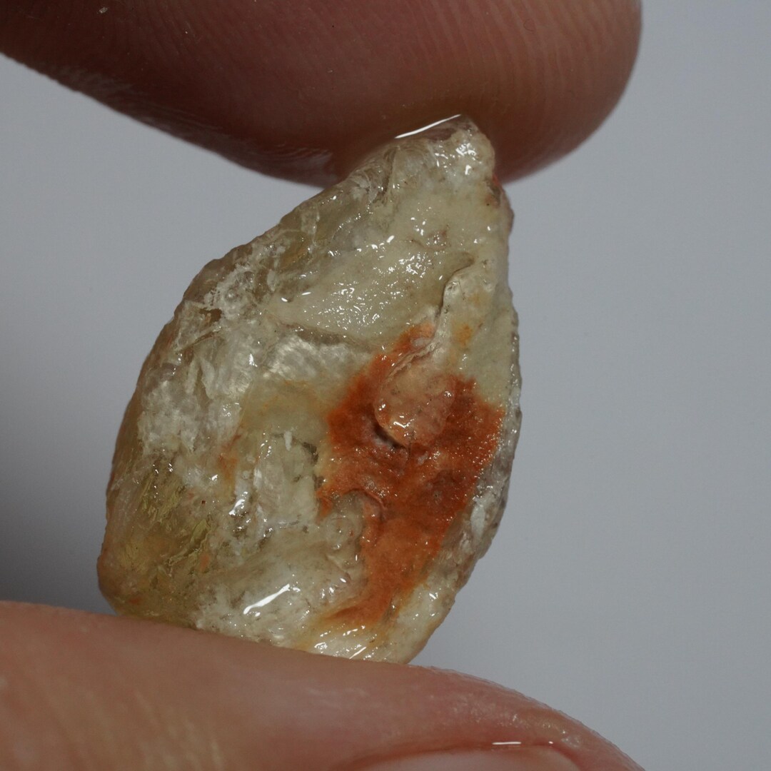 Opalised Fossil Mussel Shell - Etsy