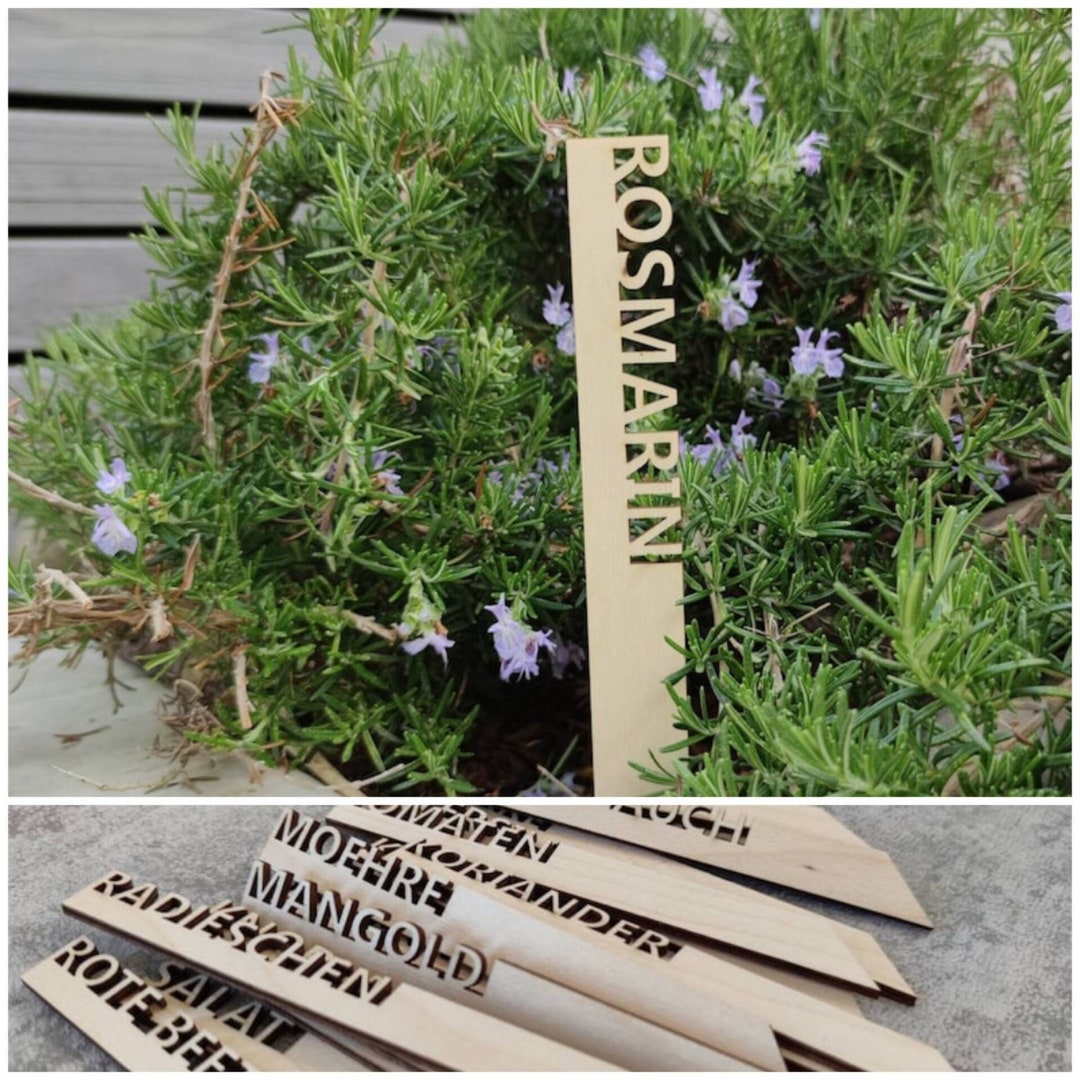 Plant Plug Wood Herb Plug for Herb Bed - Etsy UK