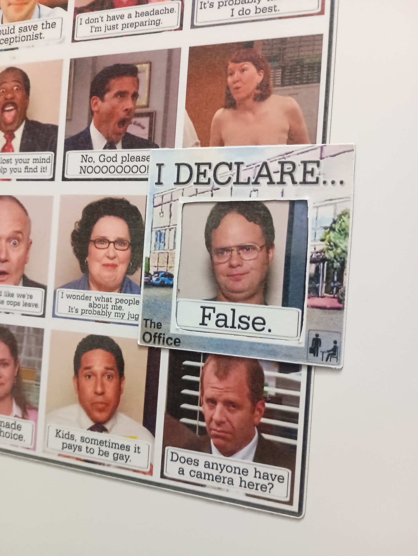 The Office Magnet, the Office, the Office Gifts, Mood Magnet, Michael ...