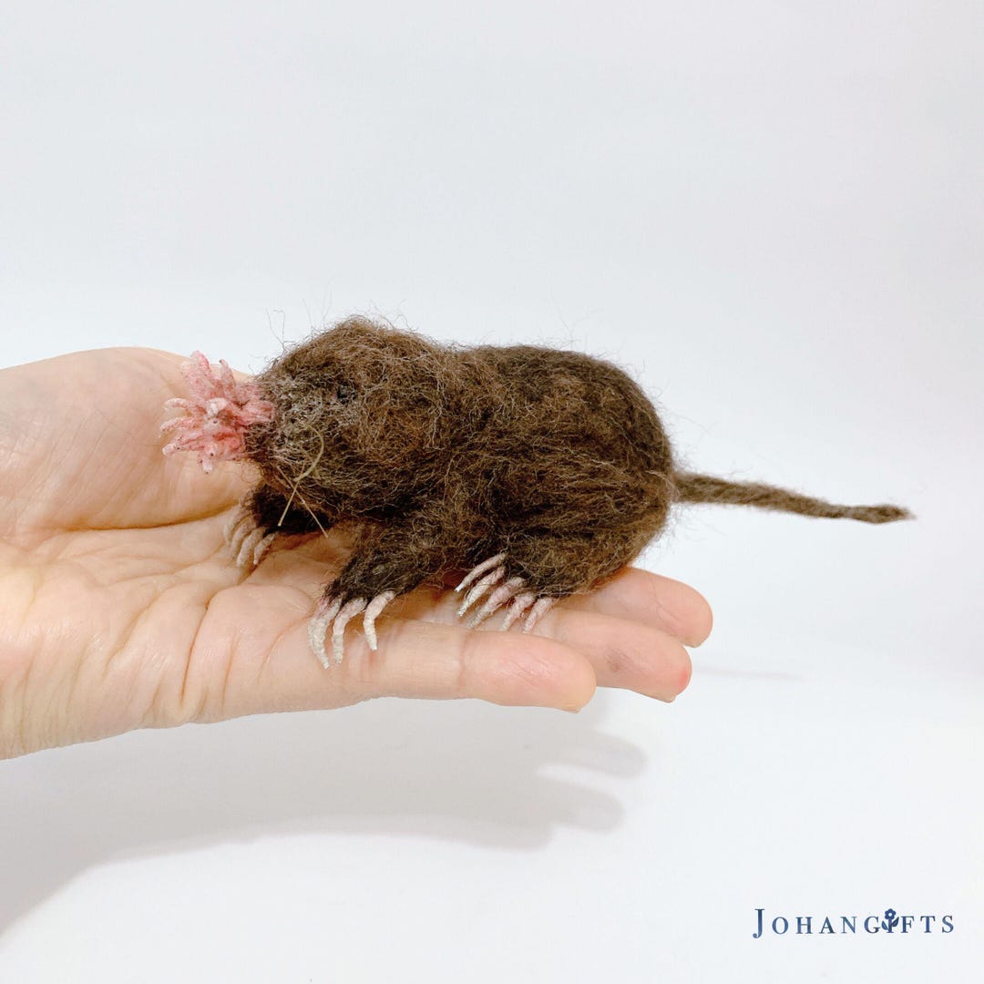 Realistic Needle Felted Star-nosed Mole Sculpture – Handmade Animal ...