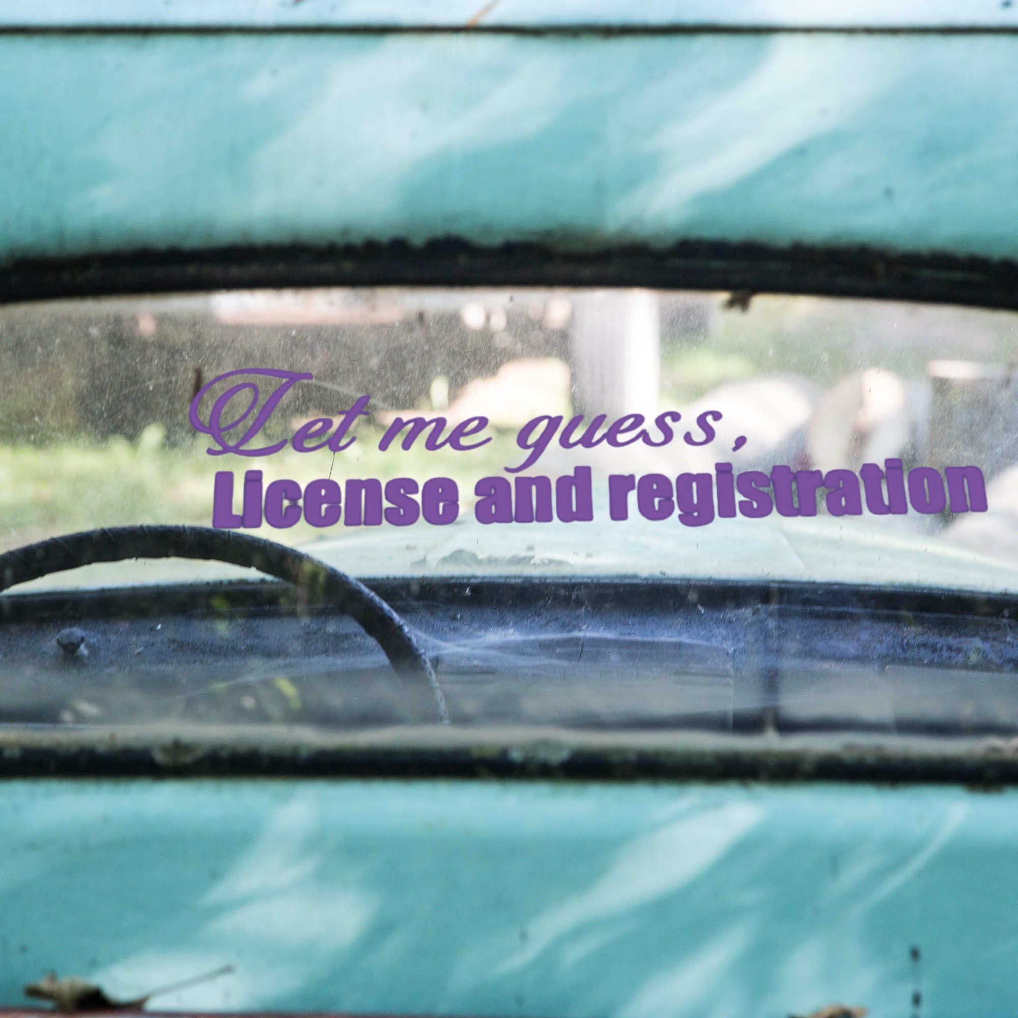 Let Me Guess License and Registration Vinyl Decal Funny - Etsy