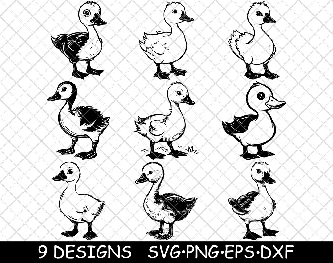 Cute Baby Goose Duckling Hatch Chick Waterfowl Wild Bird Laser File SVG ...