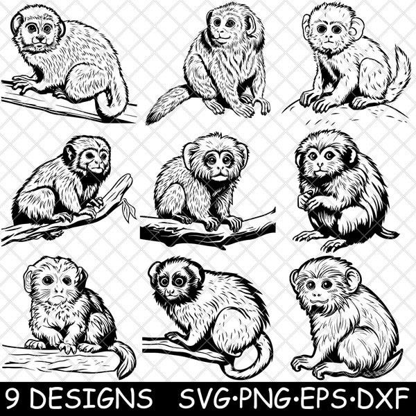 Marmoset Monkey Svg - Etsy