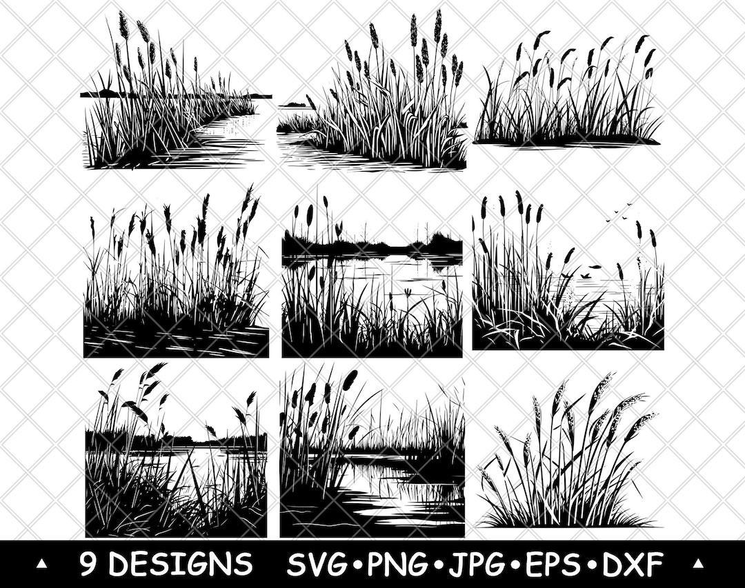 Cattail Reed Schilf Wild Grass Swamp Marsh Typha Wetland Sedge Svg,dxf ...