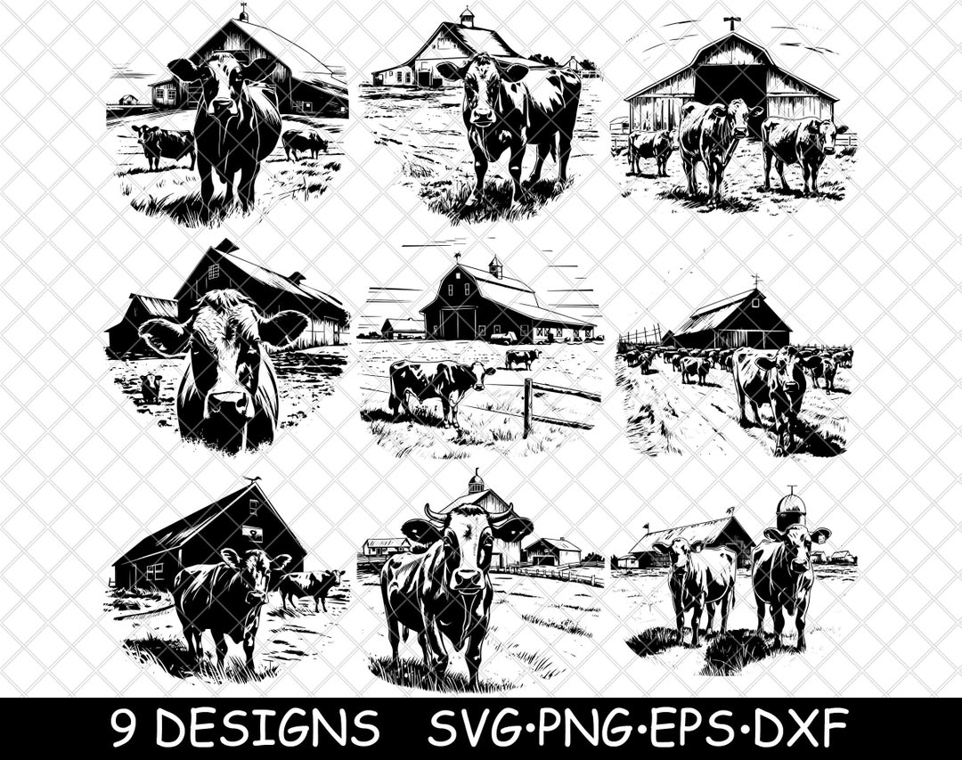 Jersey Cattle Cow Dairy Rustic Barn Farm Ranch Scene Board Coaster ...