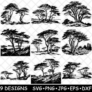 Monterey Cypress Tree SVG Coastal Tree Clipart Windswept Landscape ...