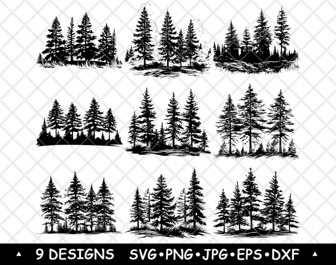 Pine Trees Evergreen Forest Coniferous Christmas Cones Png,svg,eps ...