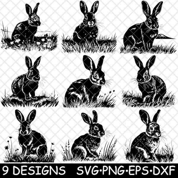 Mini Rex Svg - Etsy