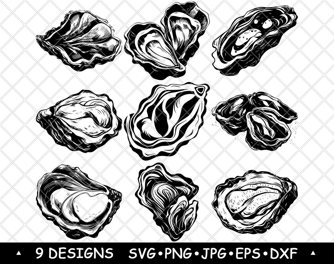 Oyster Shellfish Mollusk Bivalve Seafood Pearl Raw Food Laser File SVG ...