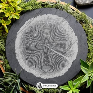 Tree Slice Slab Wooden Round Stump, Ring Timber Rustic-png,svg,eps ...