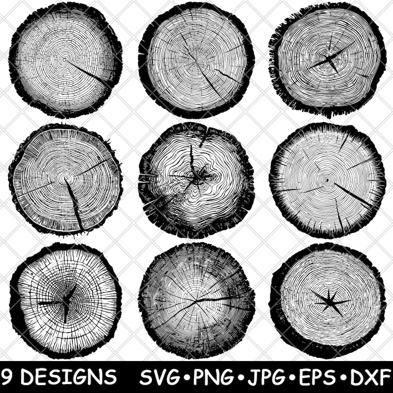 Tree Trunk Slices - Etsy