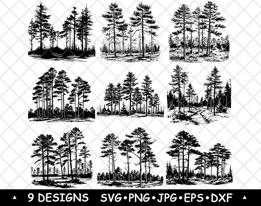 Loblolly Pine Tree Longleaf Plant Lumber Wood Timber Coaster Black ...
