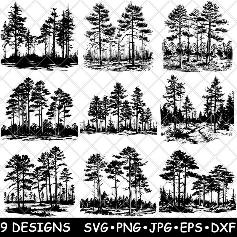 Black Forest Lumber - Etsy