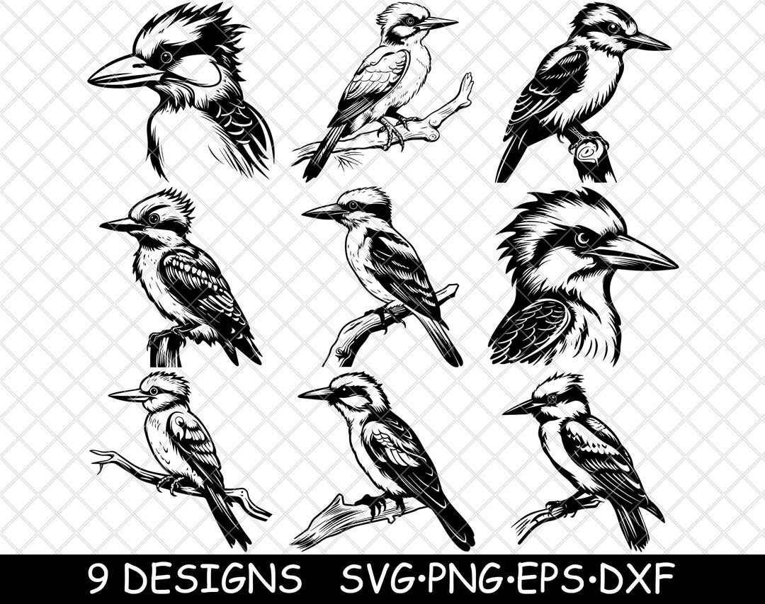 Kookaburra Kingfisher Bird Tree Terrestrial Carnivore Coaster Black ...