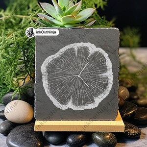 Circular Wood Slice Tree Disc Round Slab Piece Cut Log Bark Laser File ...