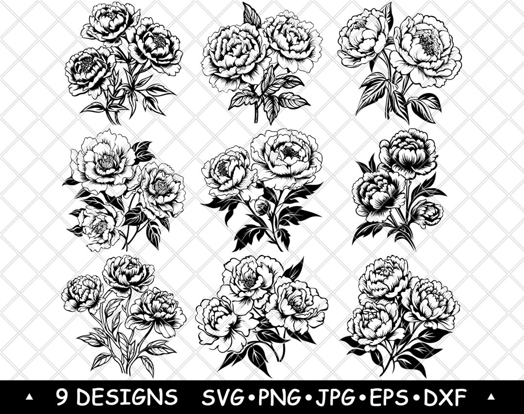 Peony Flower Bloom Plant Tropical Perennial Botanical Laser File SVG ...