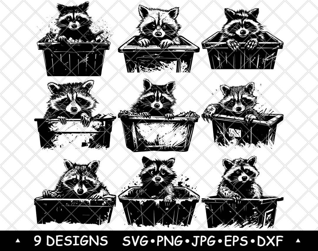 Raccoon in Box Clipart Bundle Adorable Trash Panda Vector Designs for ...