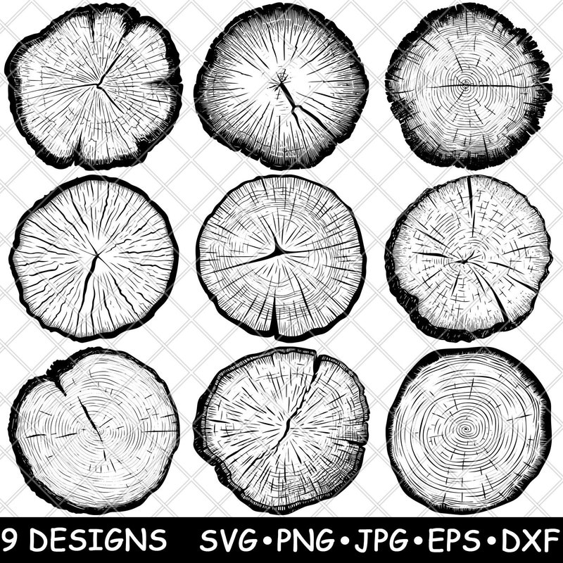 Wood Tree Slice - Etsy