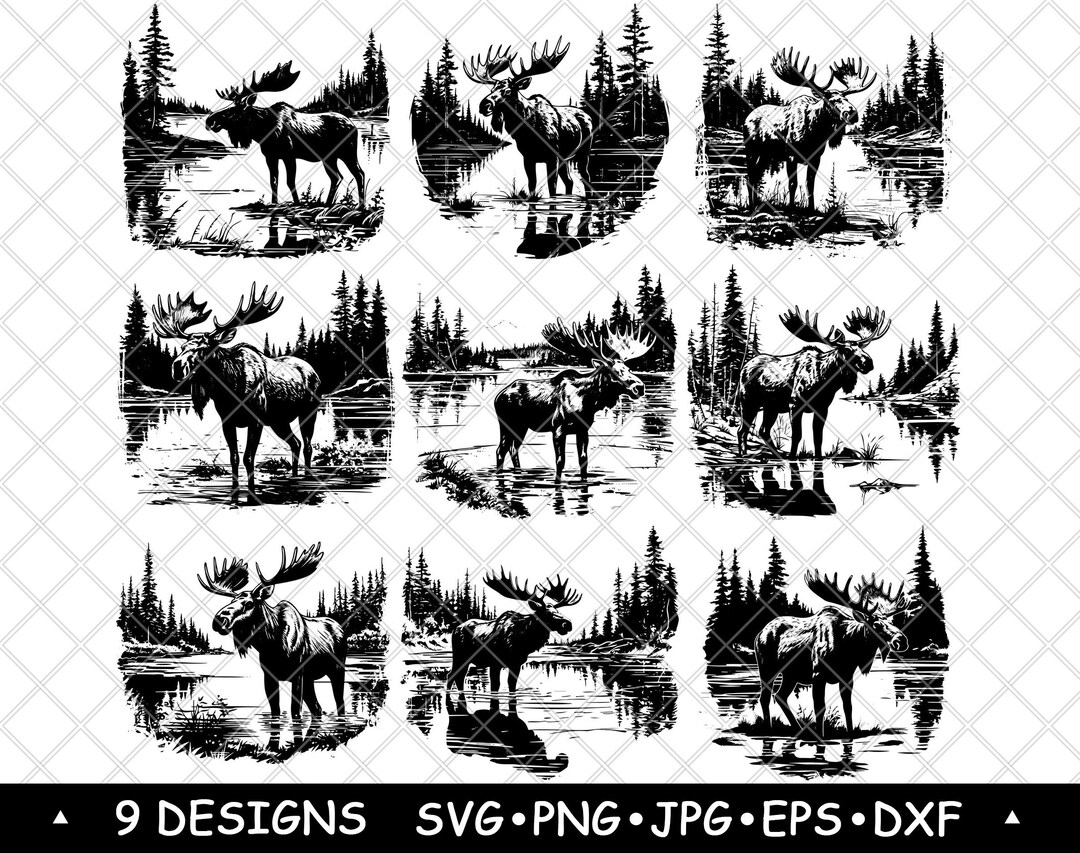 Wild Moose in Forest Lake Northern Outdoor Wildlife Water Scenes for ...
