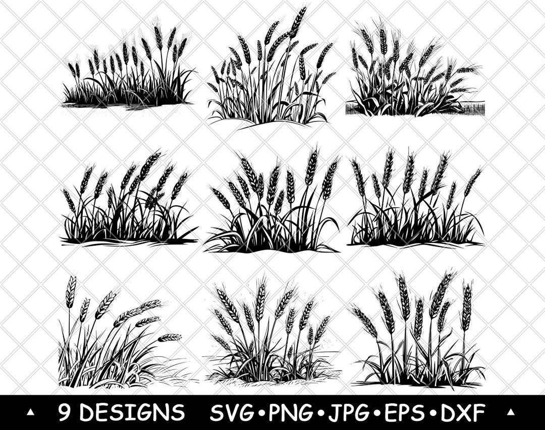 Wheat Crop Grain Grass Barley Malt Palay Rice Farm Stalk Straw Svg,dxf ...