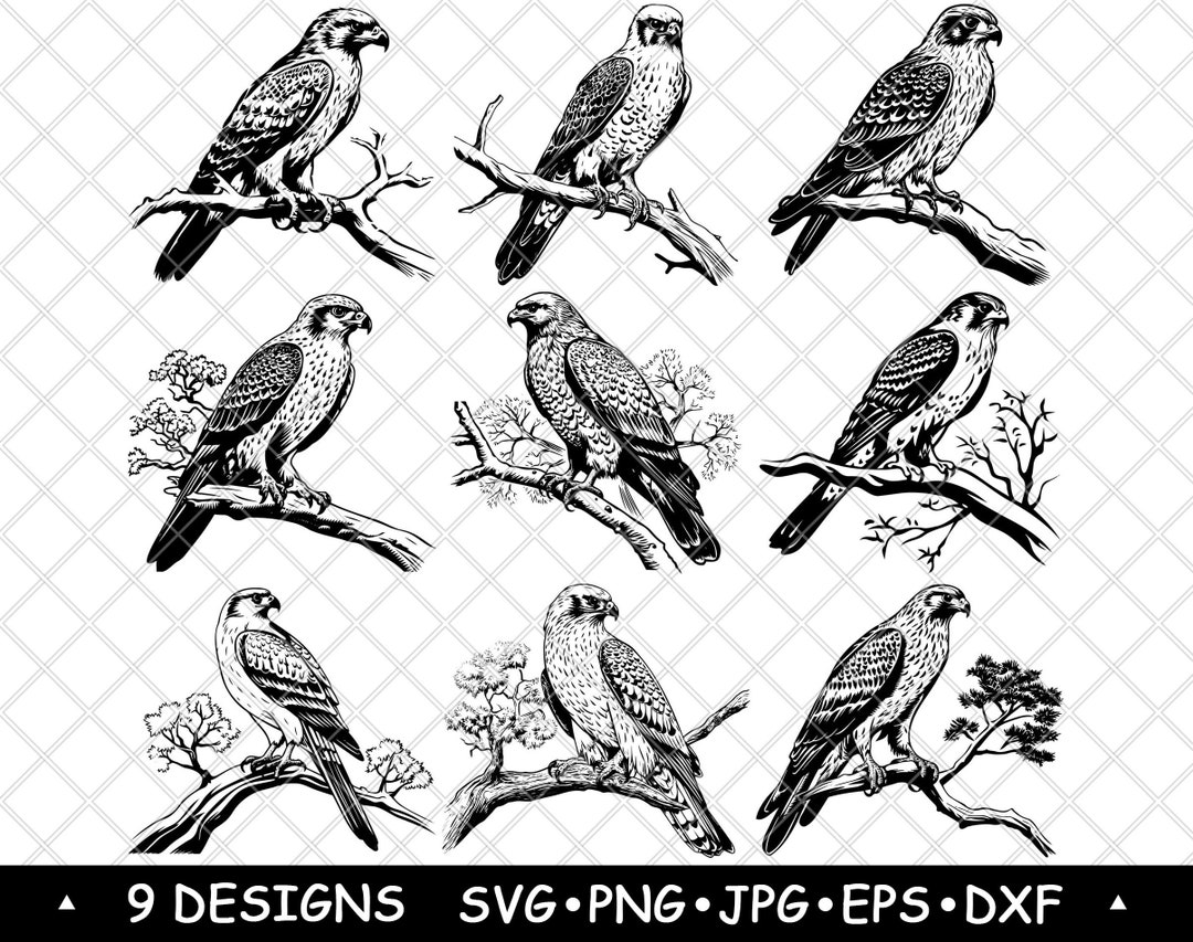 Hawk Peregrine Falcon Raptor Tree Branch Bird of Prey Laser File SVG ...