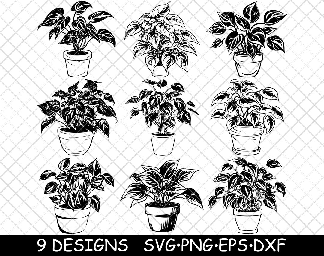 Pothos Devil's Ivy Plant Golden Money Indoor Trail Vine Laser File SVG ...