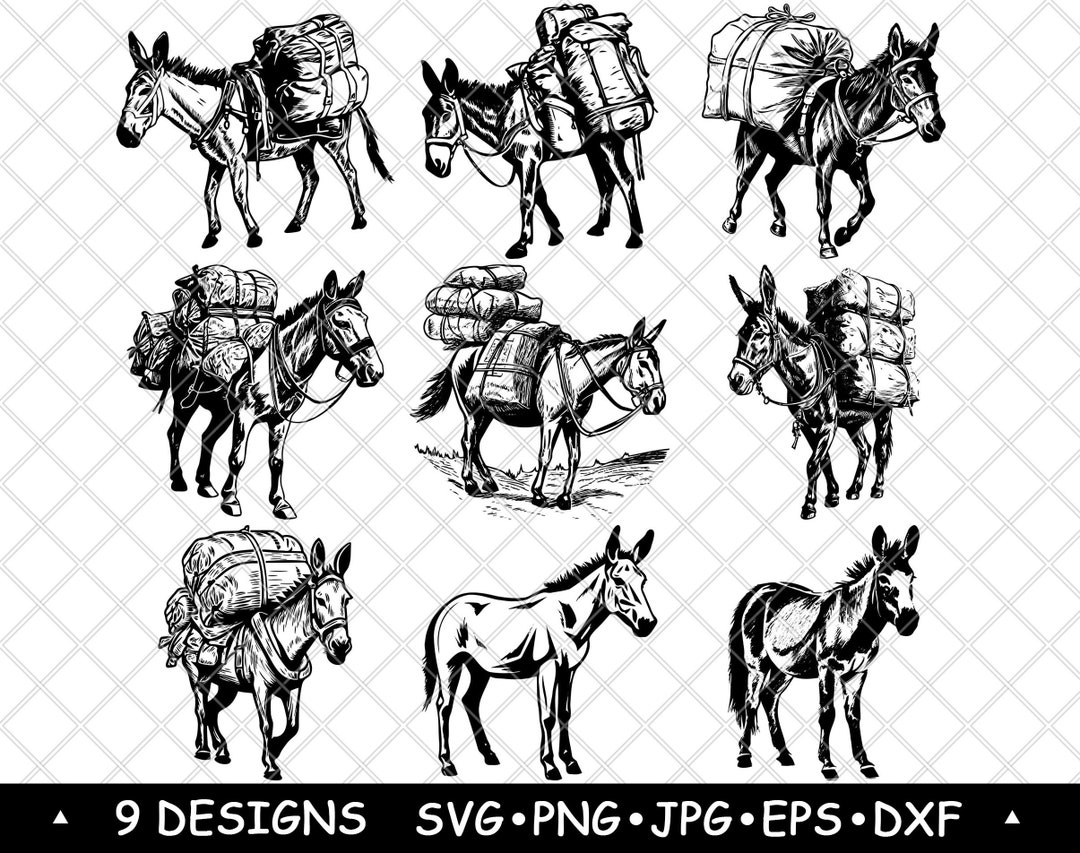 Pack Mule Clipart Bundle | Donkey Line Art SVG | Vintage Working Animal ...