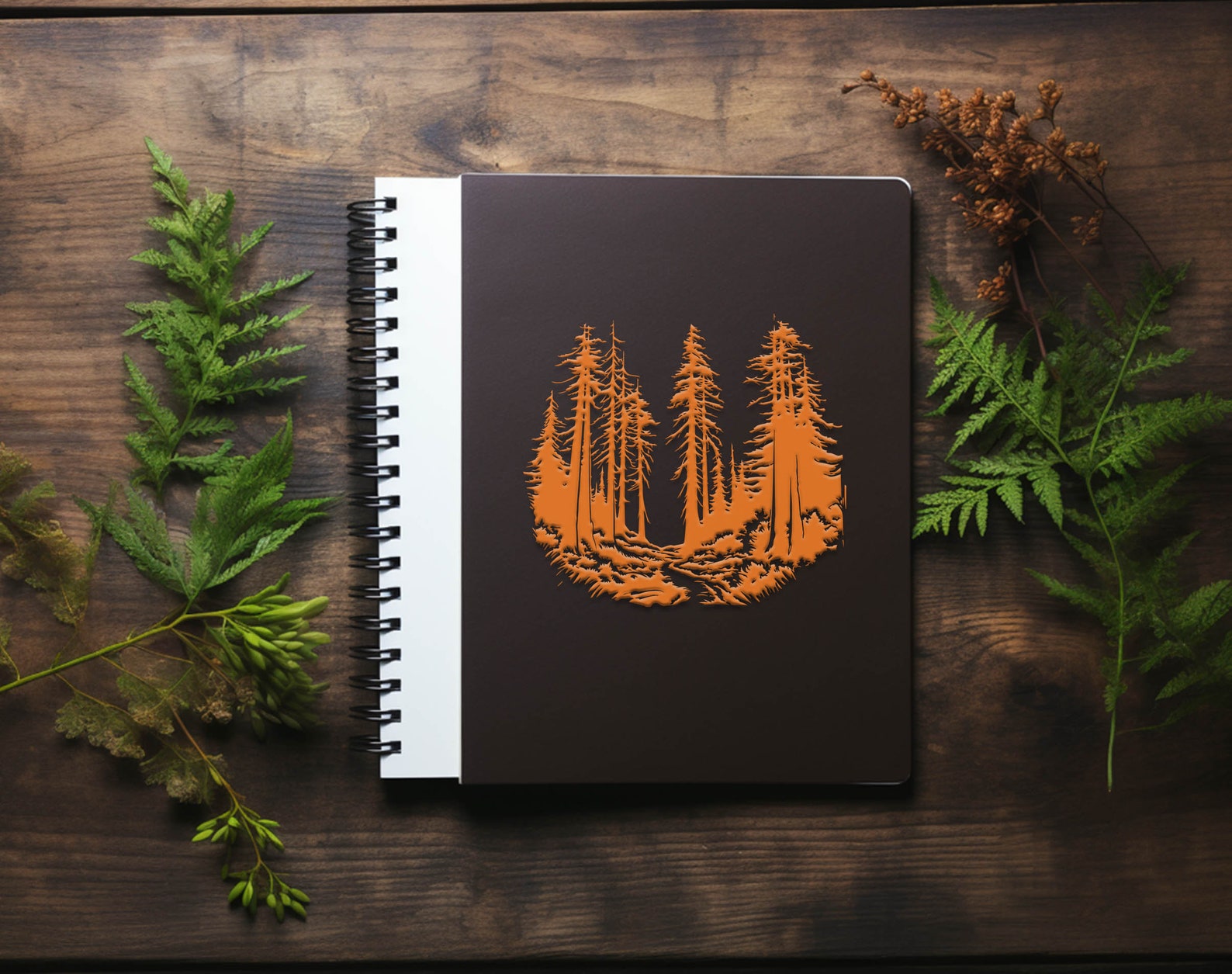 Redwood National Park Coastal Giant Trees California Tall Forest Svg ...