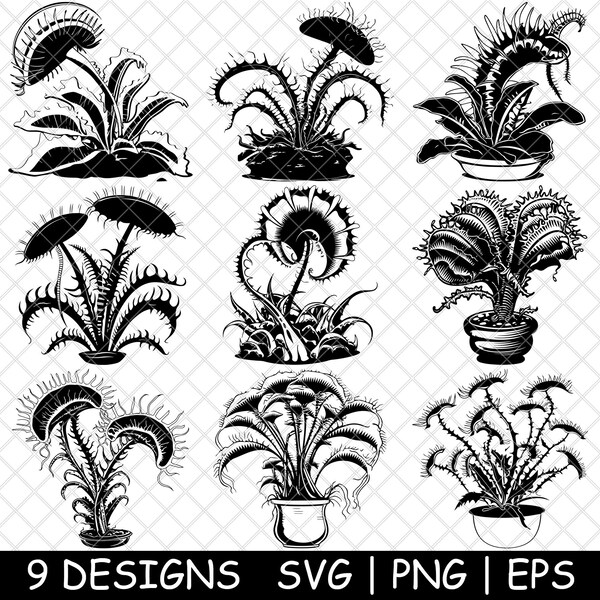 Venus Flytrap Canvas - Etsy