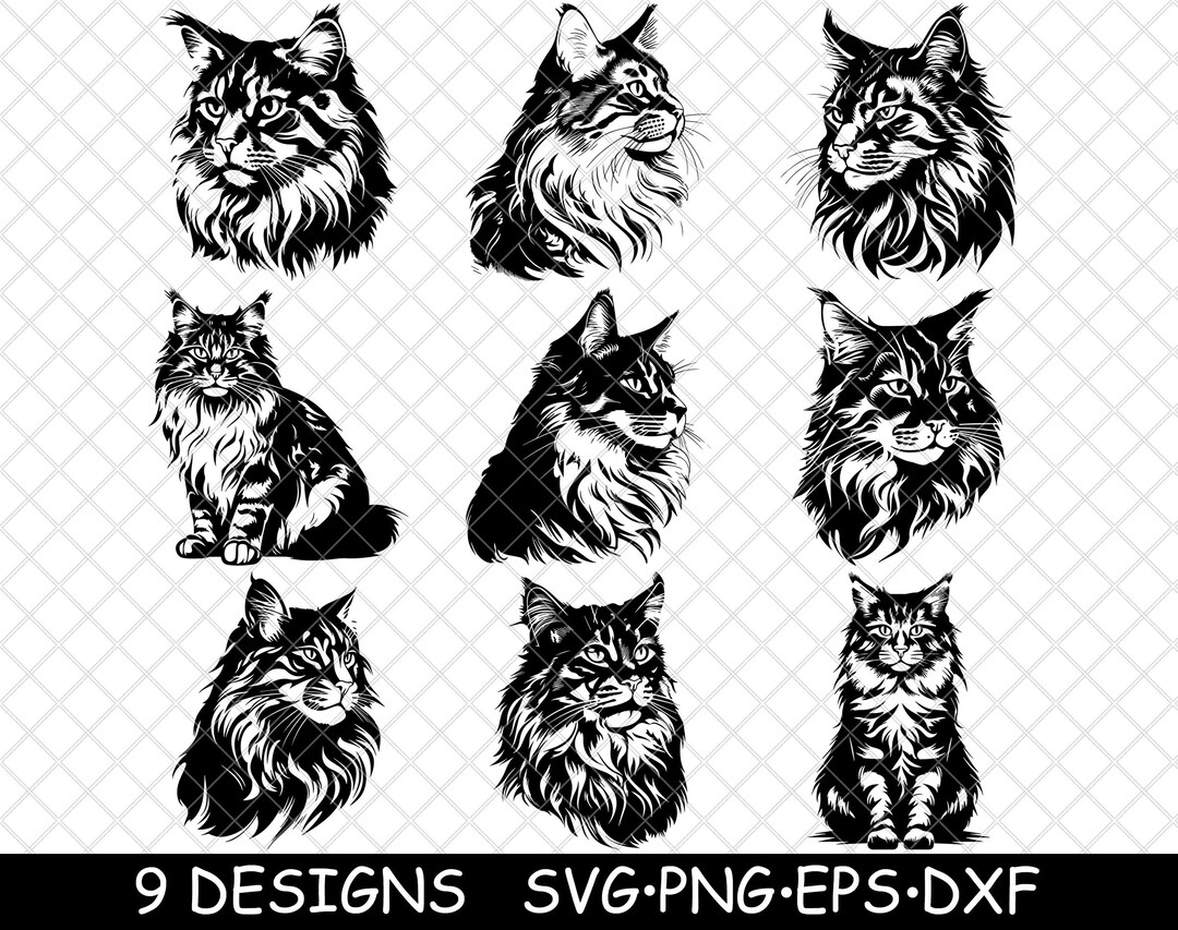 Maine Coon Cat Giant Shag American Forest Longhair Domestic Fluffy Svg ...