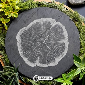 Circular Wood Slice Tree Disc Round Slab Piece Cut Log Bark Laser File ...