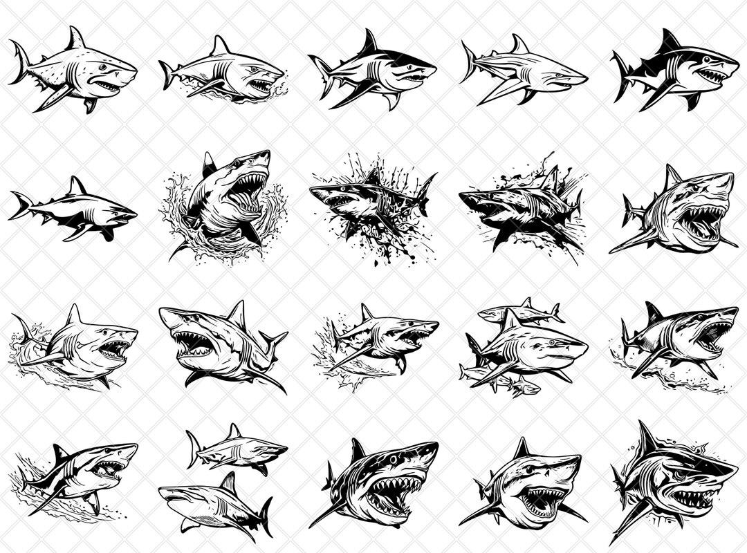 Shark Clipart Bundle Vintage Tattoo Shark Line Art PNG SVG Great White ...