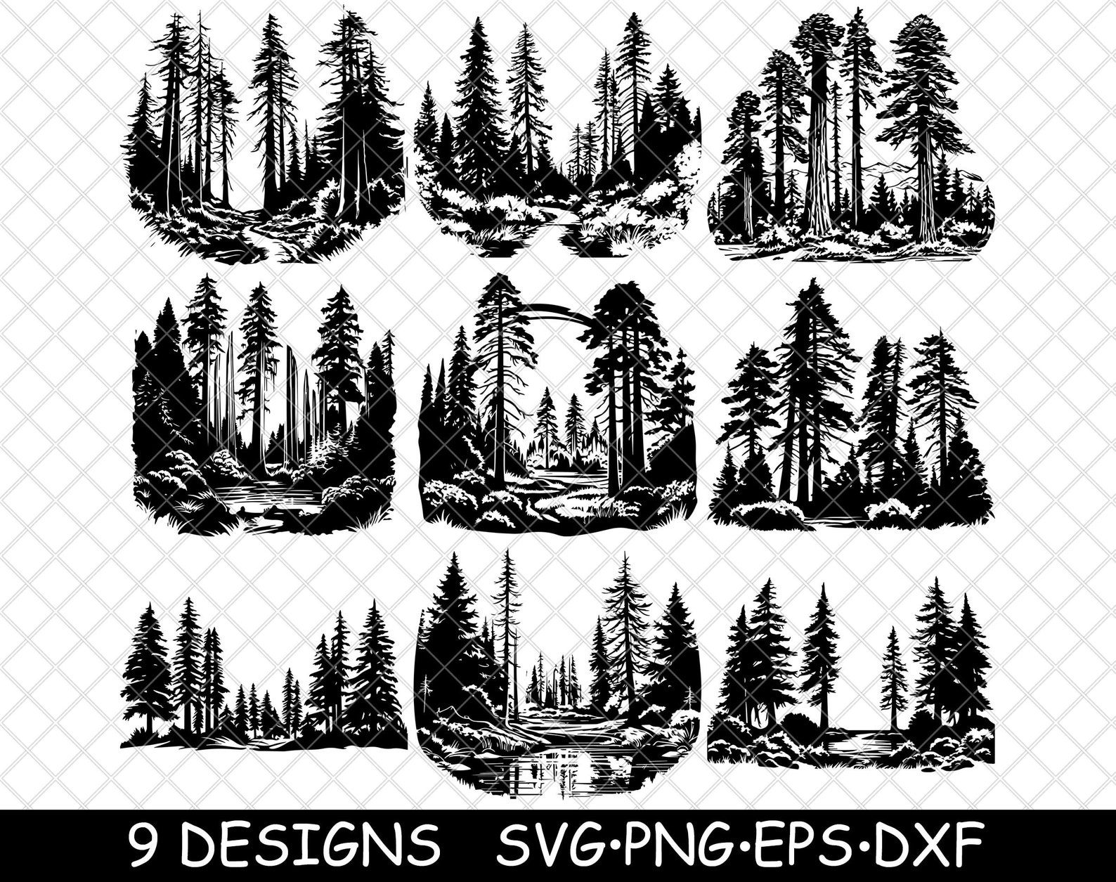 Redwood National Park Coastal Giant Trees California Tall Forest Svg ...