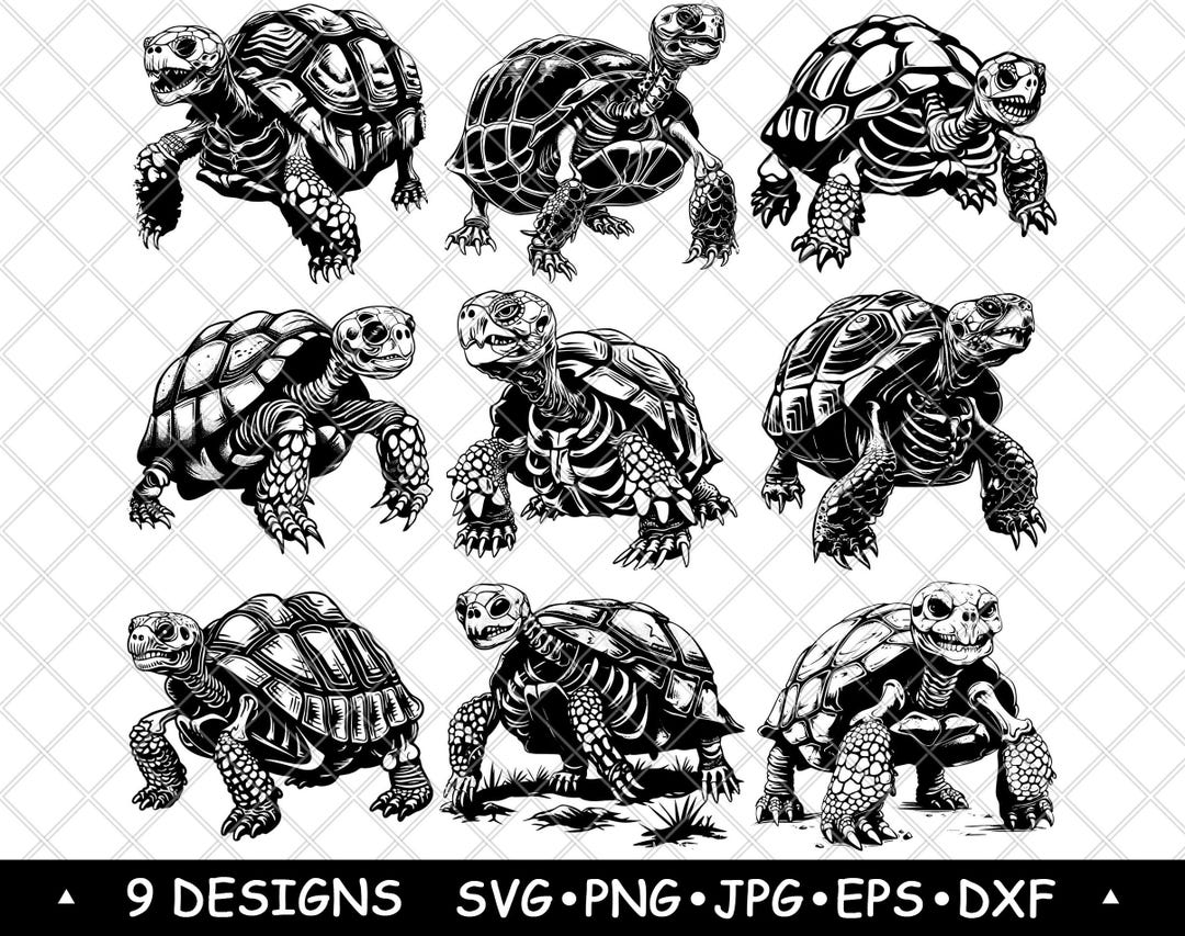 Tortoise Skeleton Turtle Bones Shell Spooky Dead Animal Laser File SVG ...