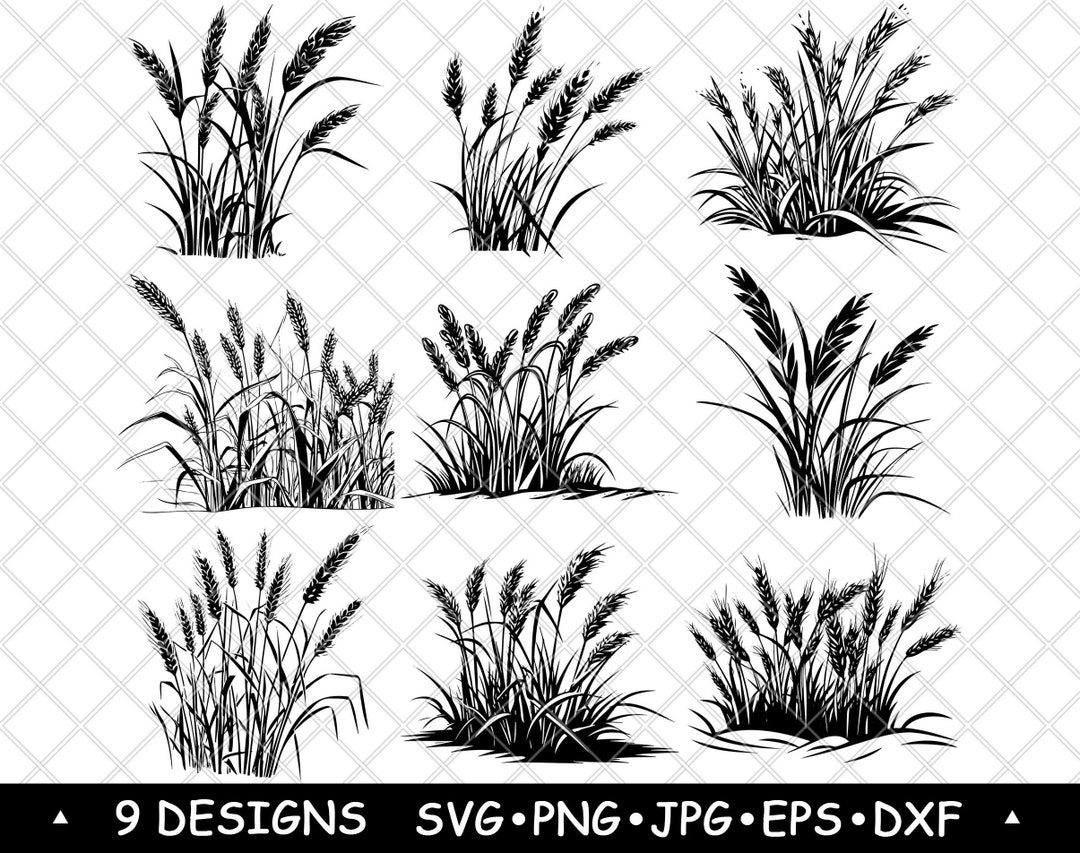 Palay Rice Paddy Crop Grain Staple Asian Farm Cereal Plant Field Svg ...