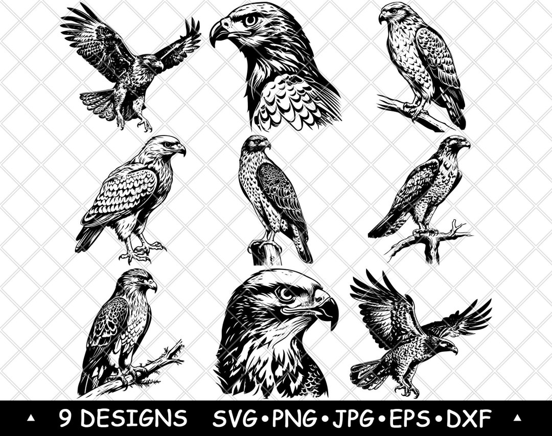 Hawk Goshawk Eagle Swainson Ferruginous Large Buzzard Laser File SVG ...