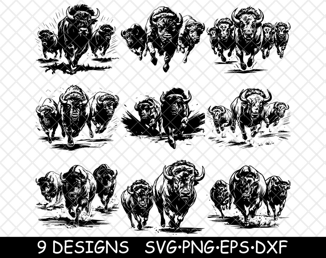 American Bison Buffalo Run Gallop Sprint Charge Herd Wild Mammal Svg ...