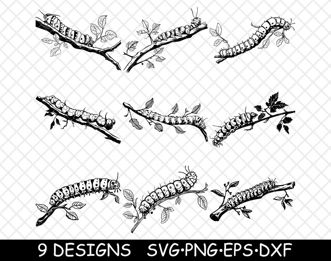 Caterpillar Larva Tree Branch Insect Butterfly Cocoon Laser File SVG ...